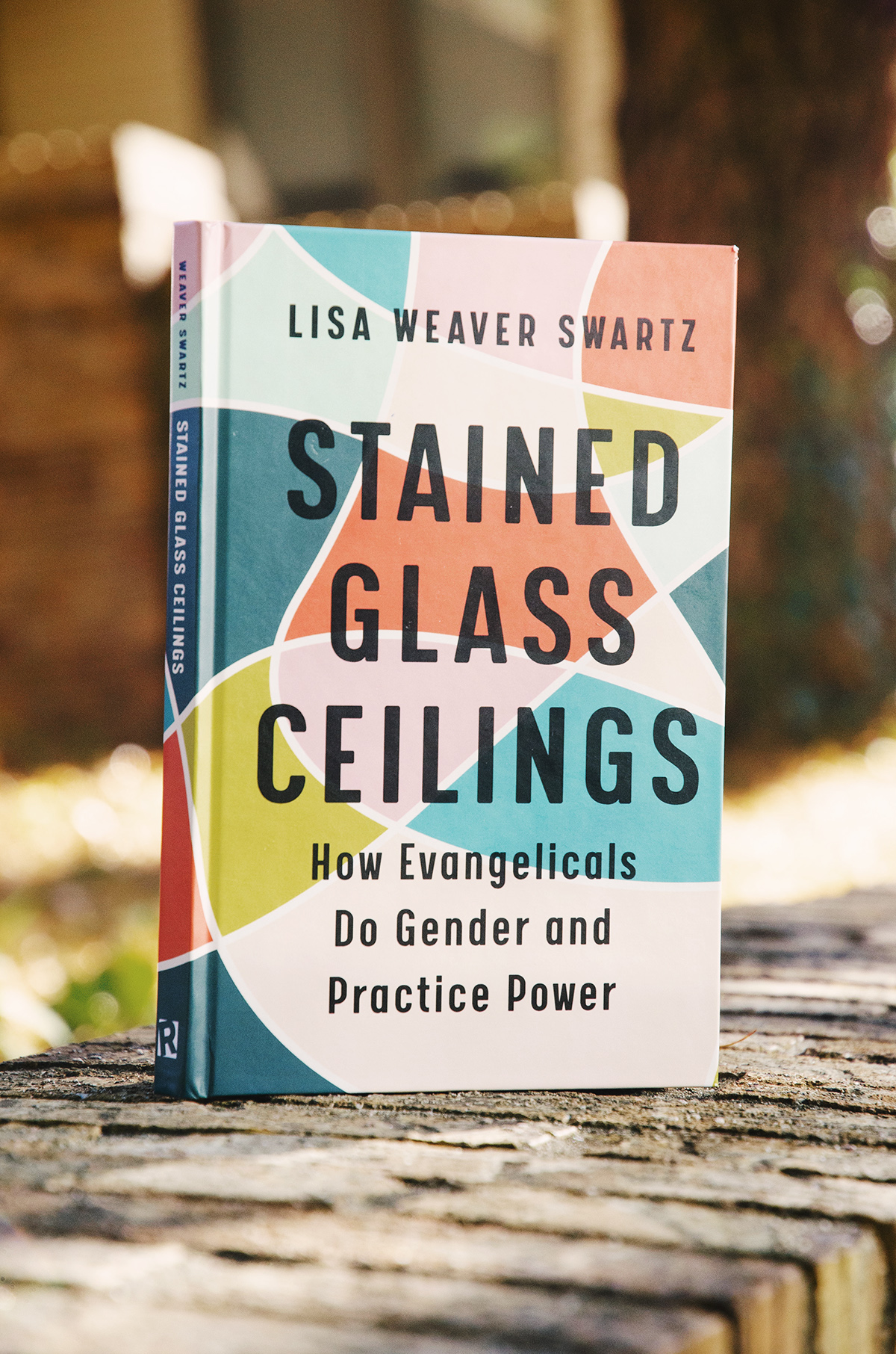 BOOK – Lisa Weaver Swartz